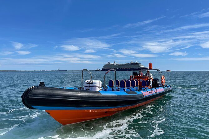 Dunmore East Sea Safari to Hook Lighthouse - Who Will Love This Tour?