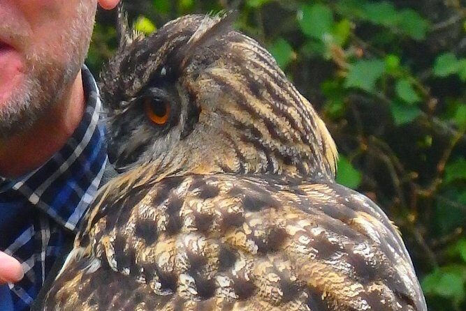 Dunrobin Castle and Glenmorangie Distillery - Local Private Tour - Overview of the Tour Experience
