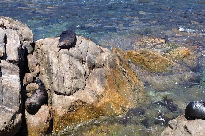 Dunsborough Eco and Snorkel Boat Tour - Is This Tour Worth It? Our Balanced View