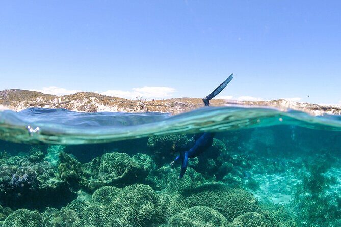 Dunsborough Eco and Snorkel Boat Tour - Final Thoughts: Is It Worth Your Time?