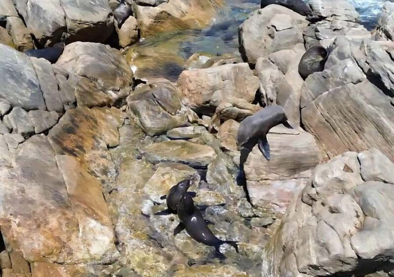 Dunsborough: Geographe Bay Eco & Snorkel Boat Tour - What to Expect on the Tour