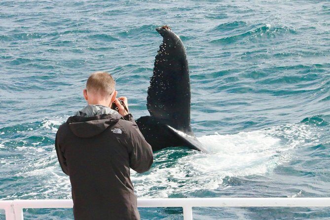 Dunsborough Whale Watching Eco Tour - The Authenticity of the Experience