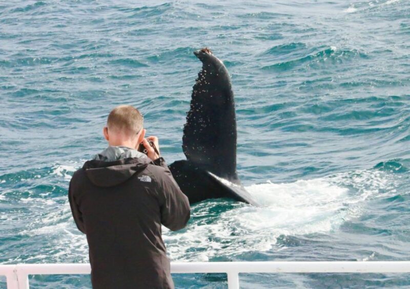 Dunsborough: Whale Watching Tour - Frequently Asked Questions
