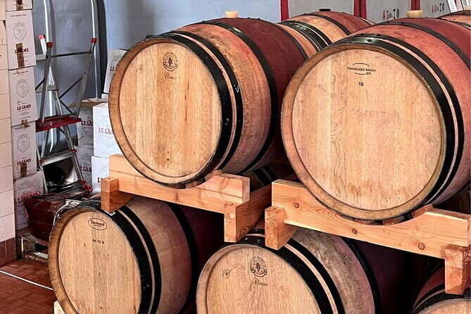 Duomo Museum & Baptistry: Cathedral Complex & Bell Tower - Who Will Love This Tour?