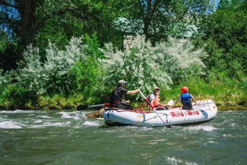 Durango 1/4 Day Rafting Trip - Lower Animas River - What to Expect on the Durango Rafting Trip