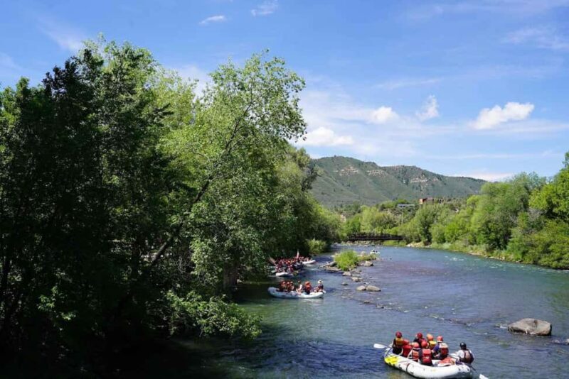 Durango 1/4 Day Rafting Trip - Lower Animas River - Authentic Feedback from Participants