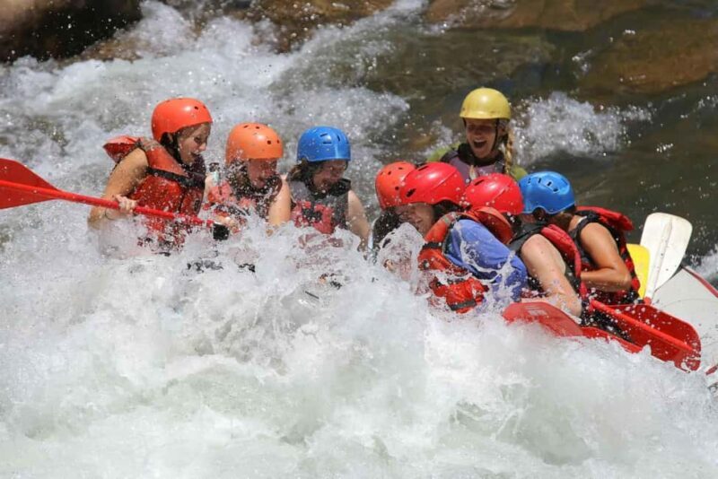Durango 1/4 Day Rafting Trip - Lower Animas River - Final Thoughts: Who Is This Tour Best For?