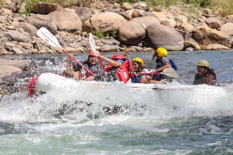 Durango 3/4 Day Rafting Trip with Lunch - Lower Animas River - Authentic Traveler Insights