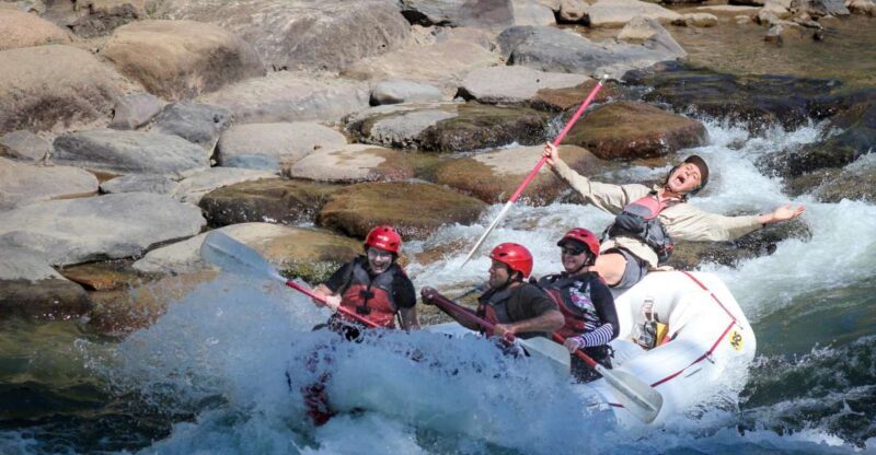 Durango 3/4 Day Rafting Trip with Lunch - Lower Animas River - Who Will Love This Tour?