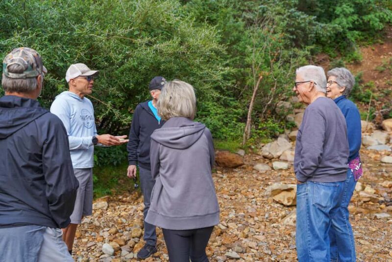 Durango Half Day Jeep Tour - La Plata Canyon - Discover the Beauty of La Plata Canyon with a Half-Day Jeep Tour from Durango