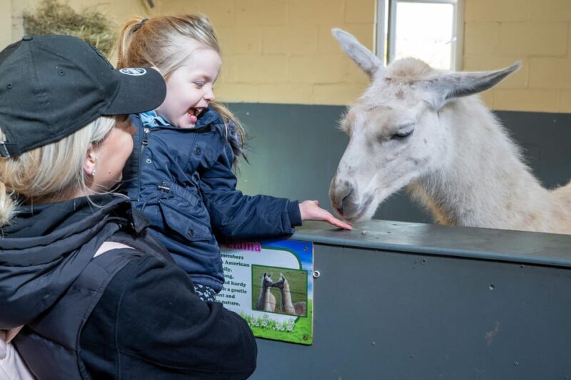 Durham: Adventure Valley Farm Park Entry Ticket - Who Will Love This Experience?