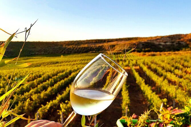 Durrës Countryside Vineyard Experience with Wine & Food Pairing - Authenticity and Quality: What the Reviews Say