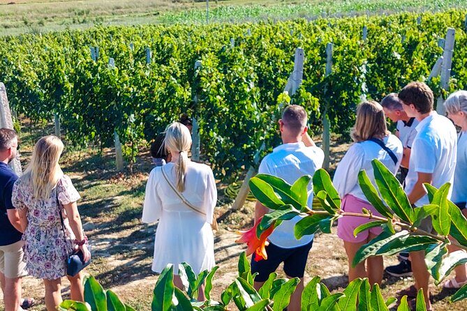 Durrës Countryside Vineyard Experience with Wine & Food Pairing - FAQ