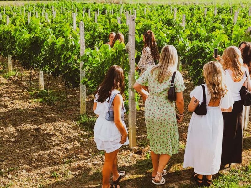 Durres Countryside Vineyards Wine Tasting & Food Pairing - Evaluating the Value