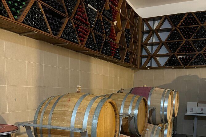 Durres & Wine Tasting Tour - Who Is This Tour Best For?