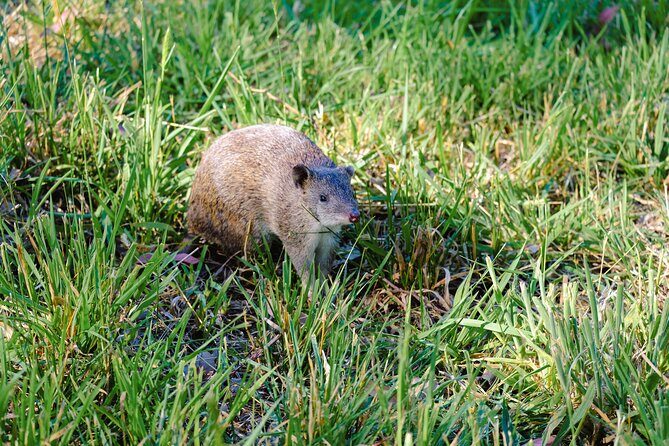 Dusk Discovery Tour - Why This Tour Is a Great Value