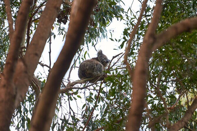 Dusk Discovery Tour - The Impact of Small Group Tours and Expert Guides