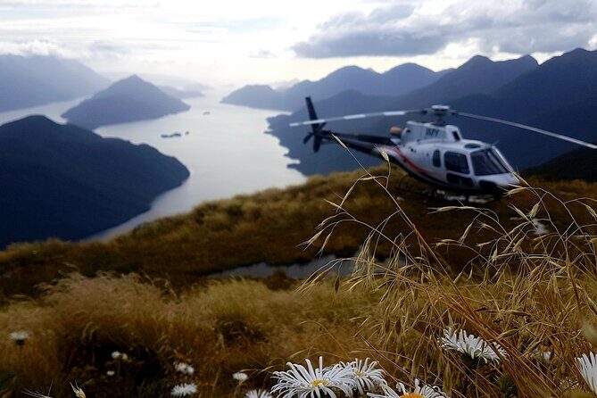 Dusky Sound // Helicopter Scenic Flight - What Makes This Tour Stand Out?