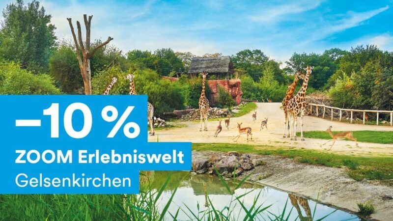 DüsseldorfCard Plus - What is the DüsseldorfCard Plus?