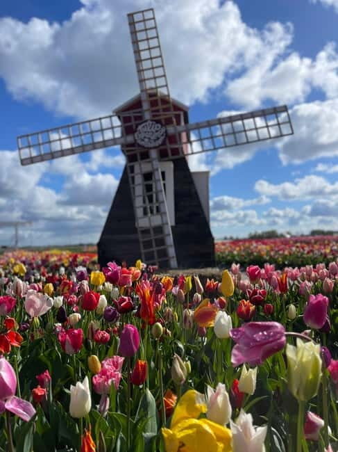 Dutch Countryside: , windmills, Villages, Cheese & Clogs - Exploring the Charm of the Dutch Countryside