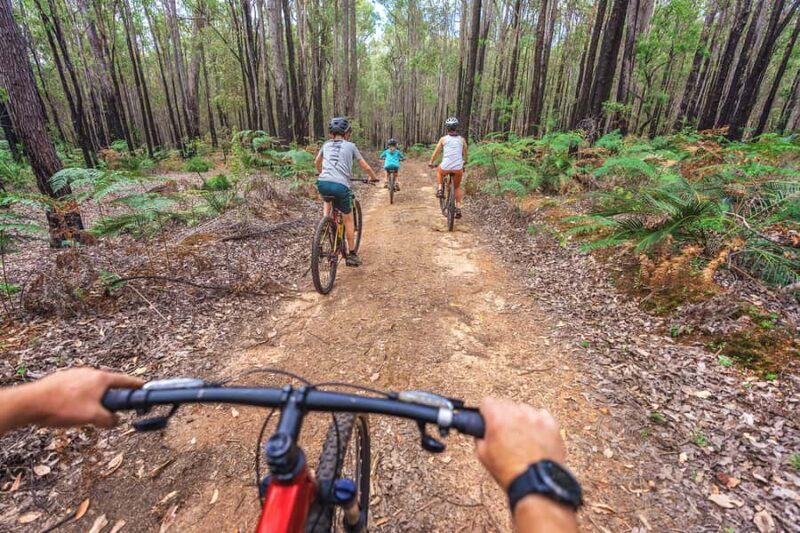 Dwellingup: Munda Biddi Explorer - An Introduction to the Munda Biddi Trail Experience