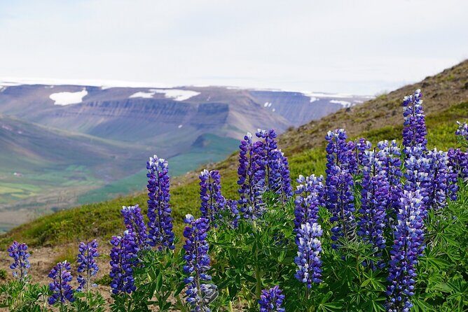 Dynjandi Waterfall in a Supertruck - An In-Depth Look at the Tour Experience