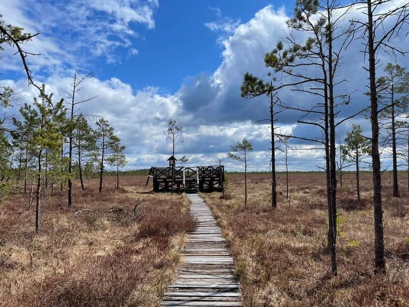 Dzukija National Park and Grutas Park: Full-Day Tour - Final Thoughts  