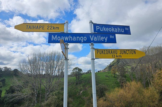 E Bike Adventure on The Laughing Moa Loop - Real Insights from Reviews