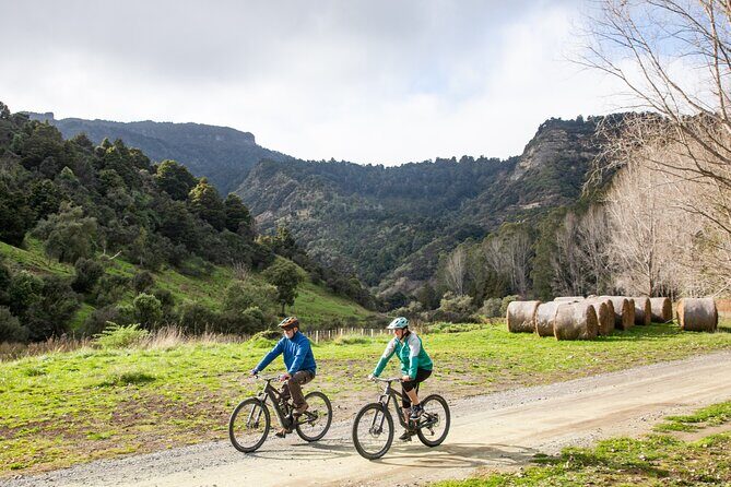 E Bike Adventure on The Laughing Moa Loop - Who Should Consider This Tour?