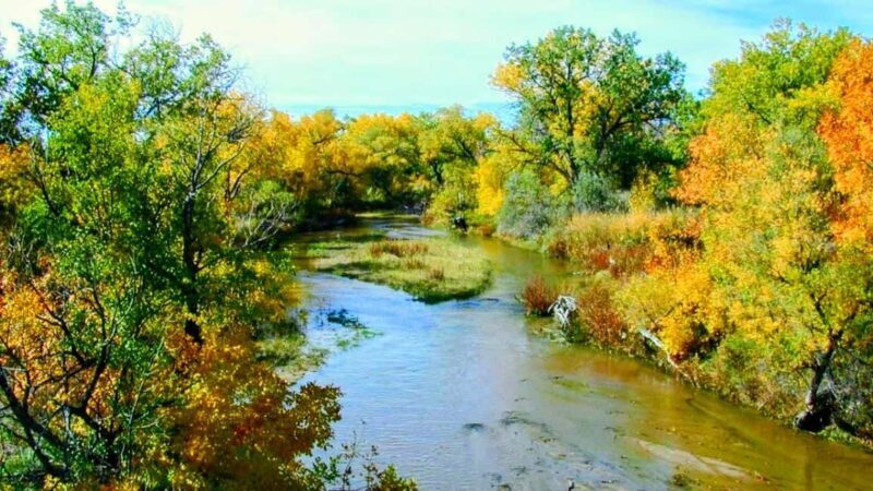 E-Bike & Brews: Denver's Platte River & Brewery E-Bike Tour - Exploring Denver with the E-Bike & Brews: Platte River & Brewery Tour