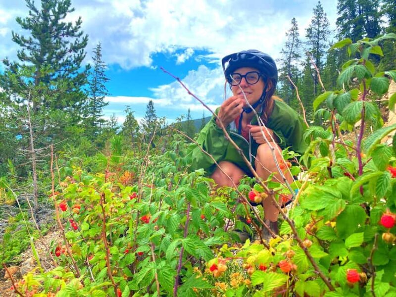 E-Bike & Brews: Denver's Platte River & Brewery E-Bike Tour - Analyzing the Value