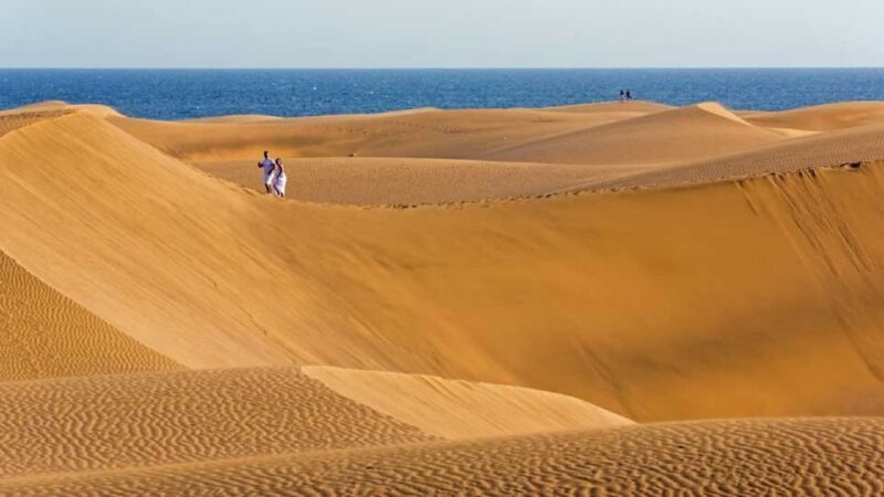 E-Bike City Tour included Camel Tour inside Maspalomas Dunes - Who Will Love This Tour?