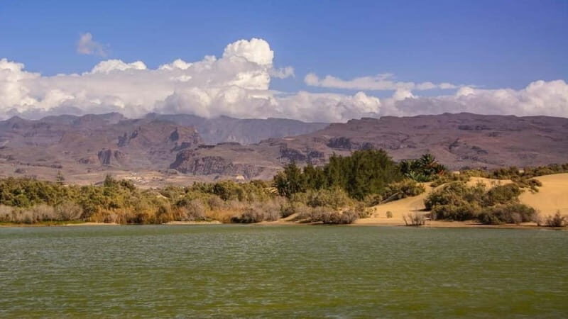 E-Bike CitySightseeing: Maspalomas, Playa Ingles, Meloneras - Who Would Enjoy This Tour?