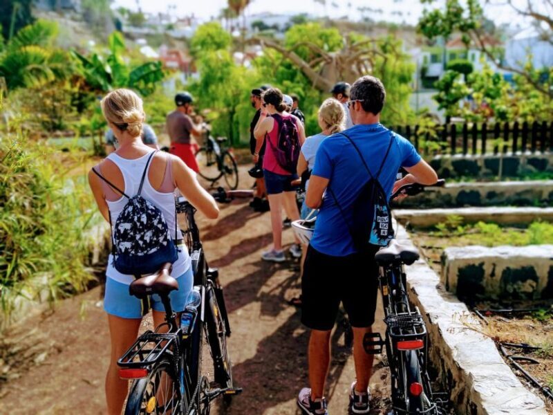 E-Bike CitySightseeing: Maspalomas, Playa Ingles, Meloneras - The Sum Up: Why This Tour Works