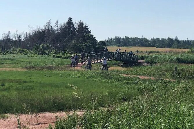 E-Bike Day Tour From Cavendish to Rustico - Who Will Love This Tour?