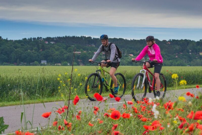 E-Bike Day Trip: Visit a Roman Castle and Taste Craft Beer - Key Points