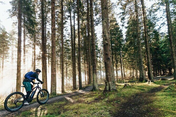 E-bike excursion exploring the Purbecks - Key Points