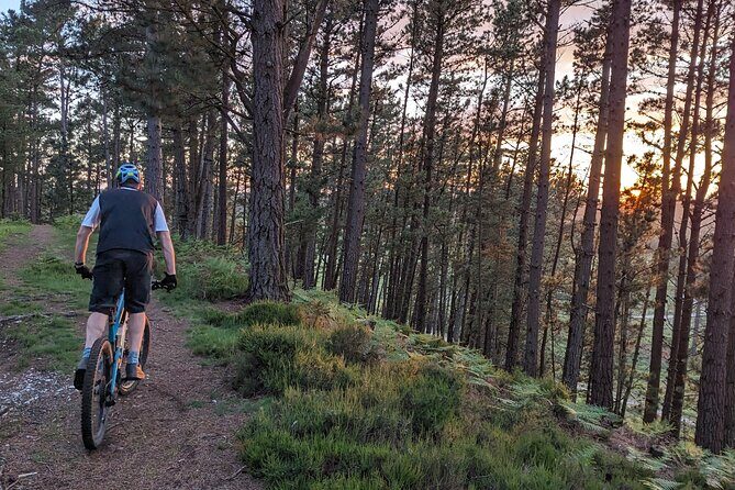 E-Bike excursions from Wareham, Dorset - The Itinerary Breakdown