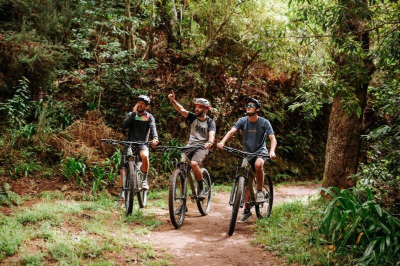 E-Bike Guided Tour - Belle Vue Mountain Biking - Who Would Love This Tour?