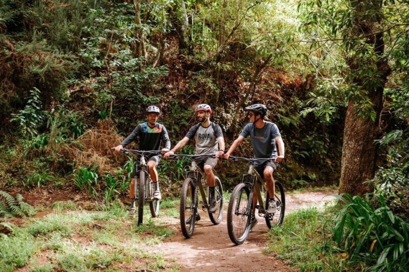 E-Bike Guided Tour - Mountain biking experience - An In-Depth Look at the Madeira E-Bike Tour