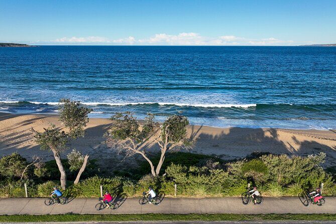 E-Bike Hire & Mountain Bike Hire Port of Eden - Practical Tips for Your Bike Adventure