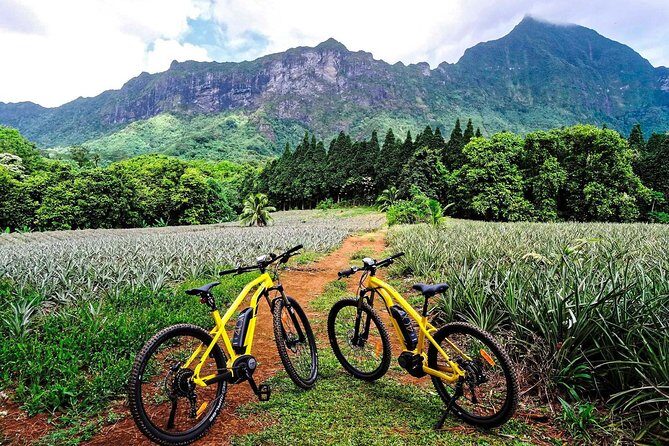E-Bike Moorea Electric Bike Belvedere Tour (2 people minimum) - FAQ