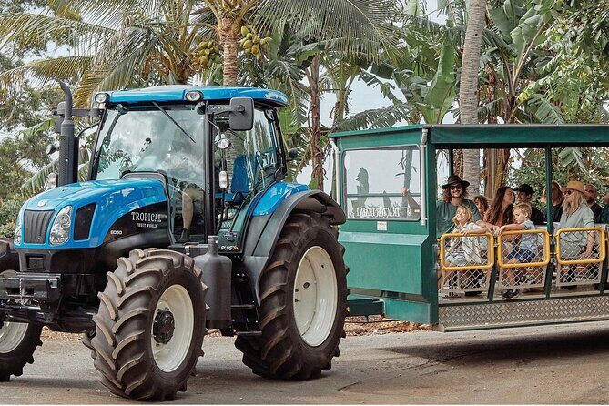 E-bike Rail Trail & Tropical Fruit World Tour: Gold Coast & Byron - Who Would Love This Experience?