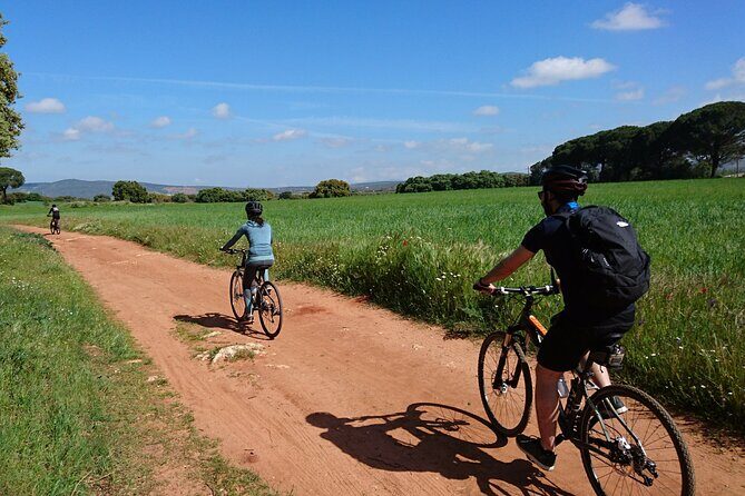 e-Bike (Self-Guided) & Winery tour - 20km Easy - What Makes This Tour Stand Out?
