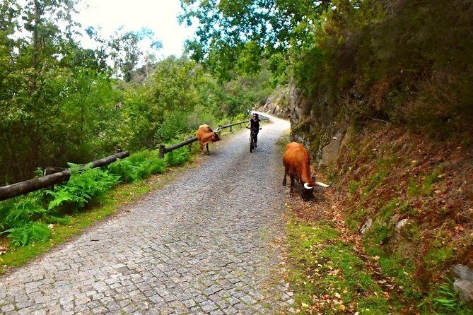 E-Bike Tour - Who Should Book This Tour?