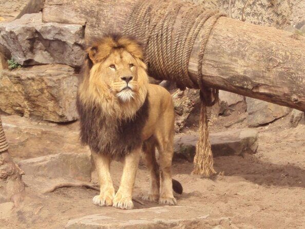 E-Bike Tour, Amsterdam's Highlights and Hidden Gems - In The Sum Up