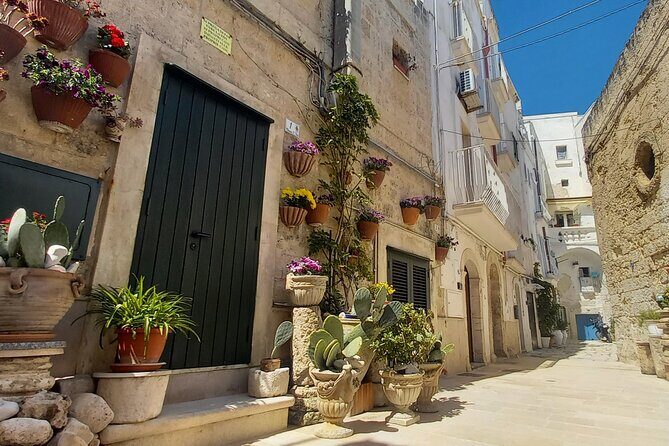 e-Bike tour from Monopoli to the rocky village of S. Andrea - Key Points