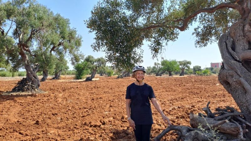 E-bike tour from Monopoli to the rocky village of St. Andrew - The Short Guided Walk in Monopoli