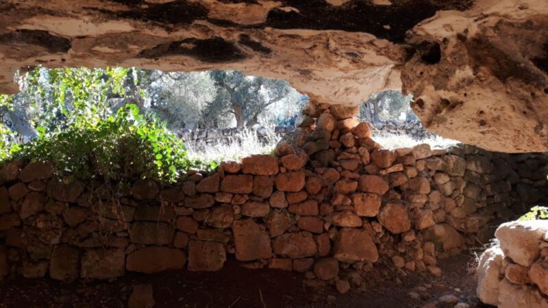 E-bike tour from Monopoli to the rocky village of St. Andrew - Why We Think This Tour Offers Great Value