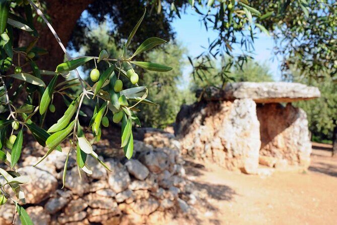 E-bike tour in Ostuni. Oil mill, Dolmen and huge olive trees - The Sum Up: Is This Tour Worth It?